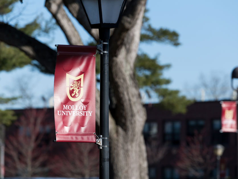 Home | Molloy University